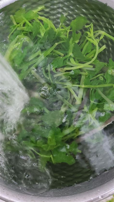 향긋하고 맛있는 미나리무침