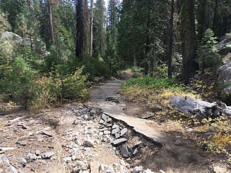History Of The Big Oak Flat Road Yosemite National Park