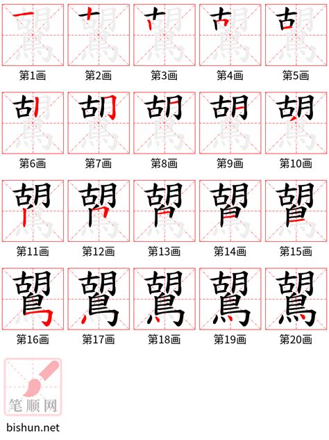 鶦的笔顺（笔画顺序）汉字鶦的笔顺动画