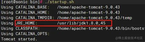 Jenkins版本升级与踩坑实践Linux系统上Jenkins版本升级过程中遇到的坑及解决方案 升级Java版本 掘金