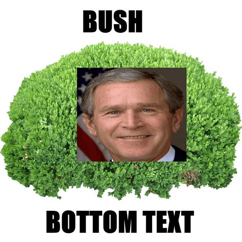 Bush Rmeme