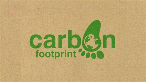 Understanding Carbon Footprint Ecopurus