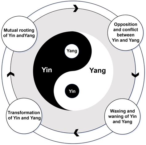 East Meets West Integrating Yin Yang Theory With Immunology Teaching Pmc