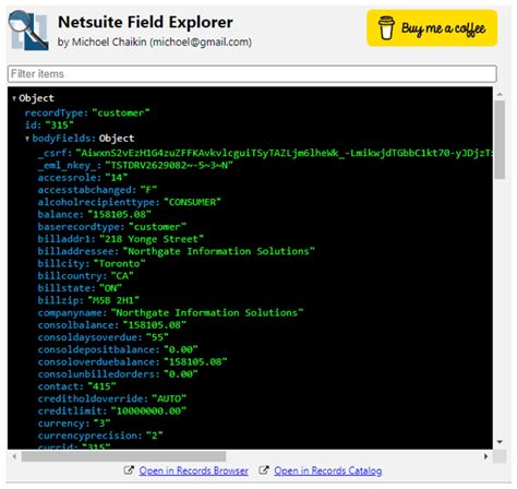 View Netsuite Record Data Suite Tooth Consulting