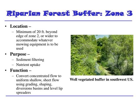 Ppt Riparian Forest Buffers Powerpoint Presentation Free Download