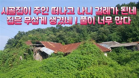 야산 밑에 시골빈집 위치는 좋은데 20년전에 읍네로 이사가서 장사한데요 옛날시골집 멋진옛날집 멋진여행 멋진풍경 Youtube