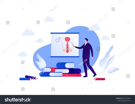 Sex Education Male Reproductive System Biology Stock Vector Royalty Free 2023175816 Shutterstock