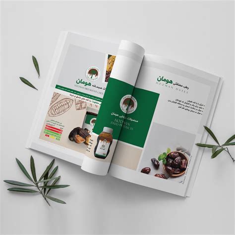 نمونه کار کاتالوگ نمونه طراحی کاتالوگ در صبح طراحی