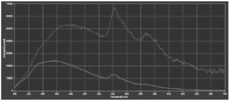 Organic Room Temperature Phosphorescent And White Light Luminescent
