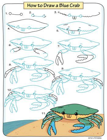 Blue Crab Drawing Tutorial Tim S Printables Drawing Tutorial Drawings Crab Art