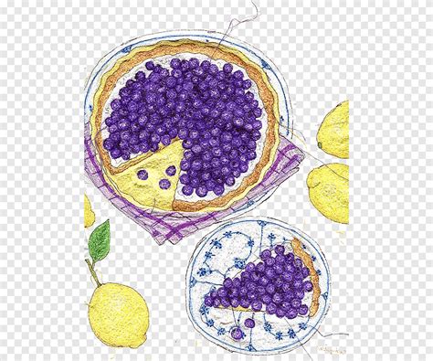 연필 드로잉 수채화 그림 종이 일러스트 레이 션 만화 블루 베리 수채화 그림 만화 캐릭터 Png Pngegg