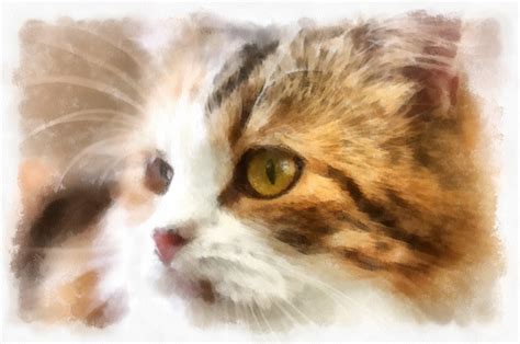 다양한 귀여운 고양이는 수채화 스타일 일러스트 인상파 그림을 포즈를 취합니다 개에 대한 스톡 벡터 아트 및 기타 이미지 개 고양이 새끼 고양잇과 Istock