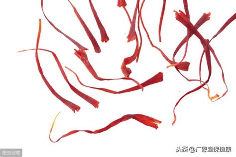 藏紅花怎麼辨真假簡單實用 每日頭條