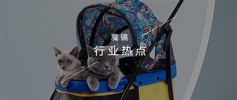 增速超60 宠物推车成为养宠人的必备神器