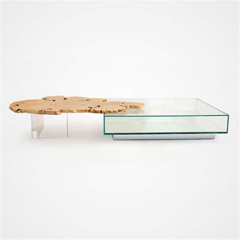 Organic Glass Box Coffee Table Rotsen Furniture