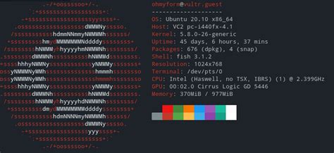 Some Environment Variables Do Not Work With The Combined Docker Image Issue Ohmyform