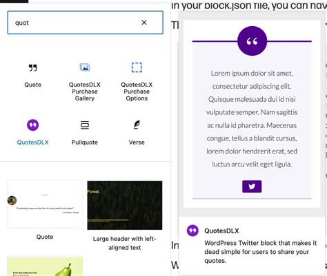 adding gutenberg block previews to existing blocks block json edition dlx plugins