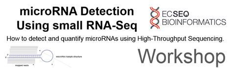 Hands On Workshop Microrna Analysis Using High Throughput Sequencing