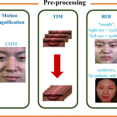flow diagram of the pre processing methods download scientific diagram