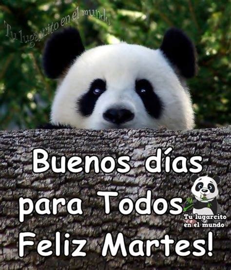 Feliz Martes Hermosas Imágenes 173