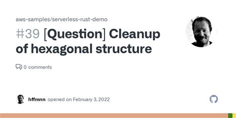 Question Cleanup Of Hexagonal Structure Issue 39 Aws Samples