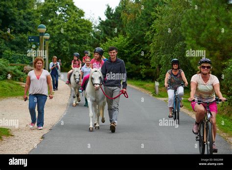 Pony Riding And Cyclists On The Cycle Path Center Parcs Sherwood Forest Pony Riding And Cyclists On The Cycle Path Center Parcs Sherwood Forest