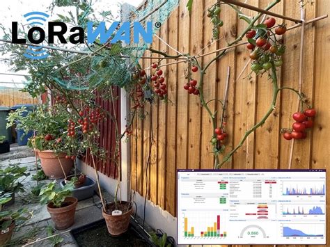 Reza Khosravi On Linkedin Iot Lorawan Iot Lorawan Swift Smartagriculture Smartfarming