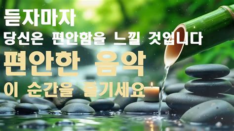 아름다운 피아노 힐링 🌿 물소리가 어우러진 스파 And 수면 음악 ~ 명상과 진정 멜로디 Youtube