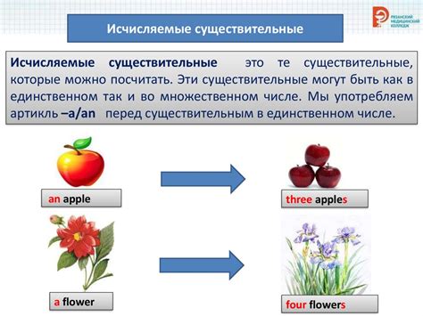 Имя существительное в английском языке Исчисляемые и неисчисляемые