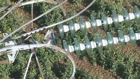 Ceps Insulator Dataset Glass Insulator Only Object Detection Dataset By Blazin9re4pers Dl