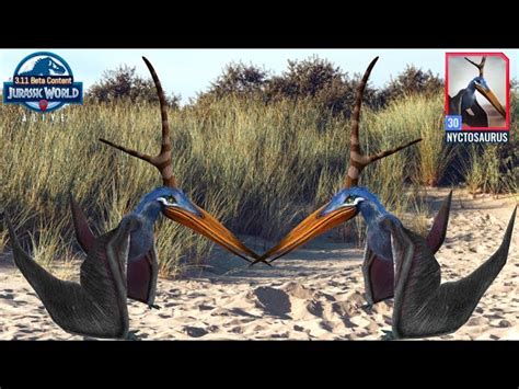 Nyctosaurus Nyctosaurus Living Sailboard Versatile Travel Mount Nyctosaurus Nyctosaurus Living Sailboard Versatile Travel Mount