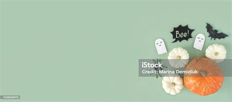 검은 박쥐 거미 오렌지 호박이있는 할로윈 배경 현대 휴일 디자인 올리브 그린 색상의 할로윈 파티 테두리 플랫 레이 상단보기 복사 공간 추수 감사절 가을 장식 2022 0명에