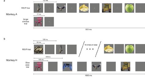 Figure 1 From Decoding Rapidly Presented Visual Stimuli From Prefrontal