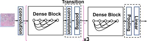Kalbedigitallab Pathologynucleiclassification At Main