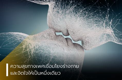 คอรสเรยน tunext