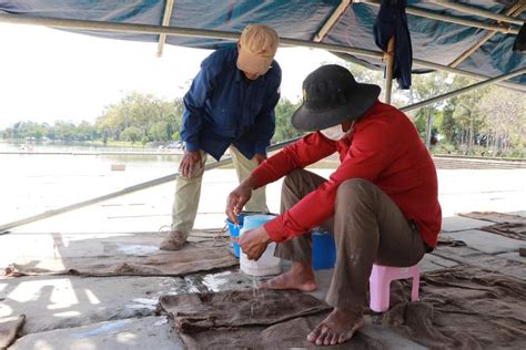 ក្រសួងវប្បធម៌និងវិចិត្រសិល្បៈ ៖ អាជ្ញាធរជាតិអប្សរា បិទបំពេញបាយអរនៅតាមជង្ហុក