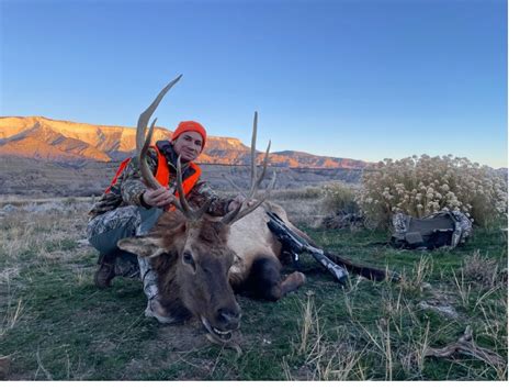 Diy Colorado Elk And Mule Deer Hunting Cabin