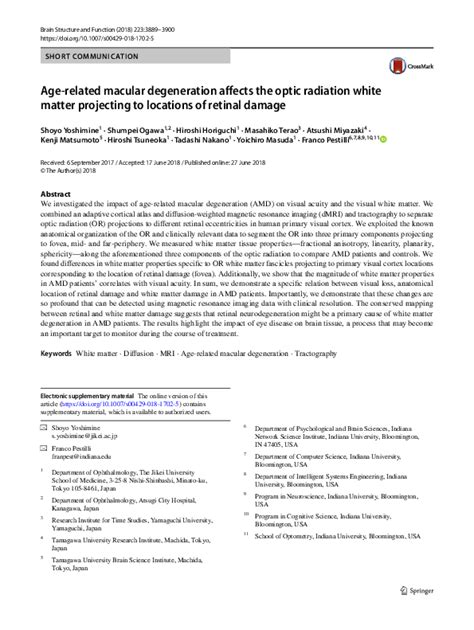 Pdf Age Related Macular Degeneration Affects The Optic Radiation