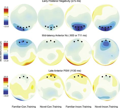 Topographical Scalp Maps For Components Of Interest As Viewed From The