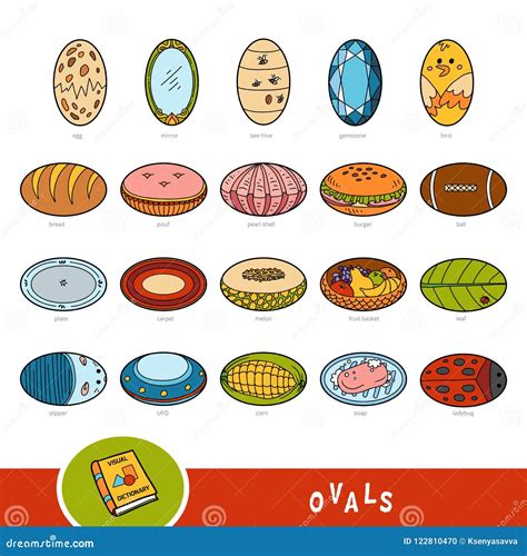Colorful Set Of Oval Shape Objects Visual Dictionary Stock Vector Illustration Of Book