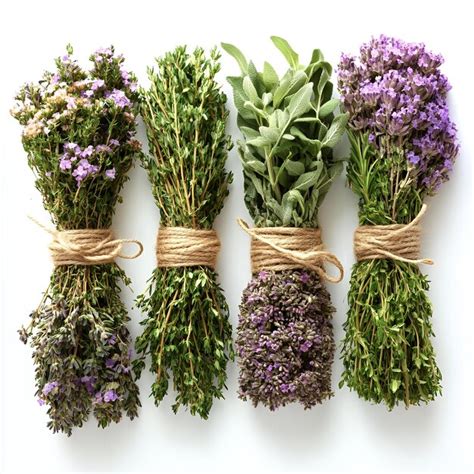 Fresh Herbs Tied With Twine Premium Ai Generated Vector