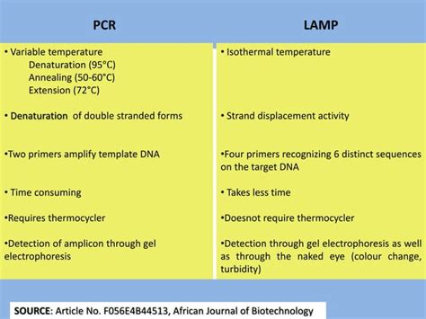 Lamp Pcrpptx By Dr Chayanika Das Phd Veterinary Microbiology
