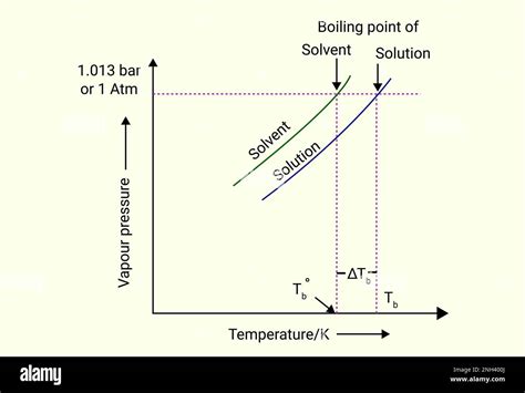 boiling point of solvent and solution stock vector image and art alamy
