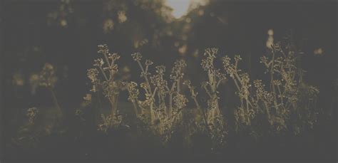 Extend The Startapp Manage Command For Better Django Template Apps