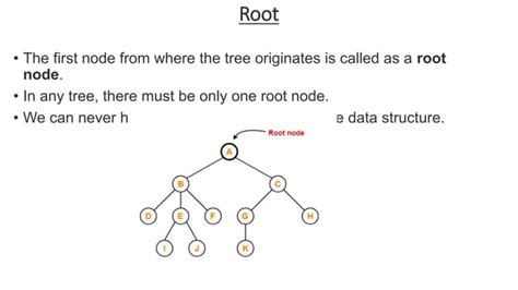 Terminologies Of Tree Types Of Treepptx
