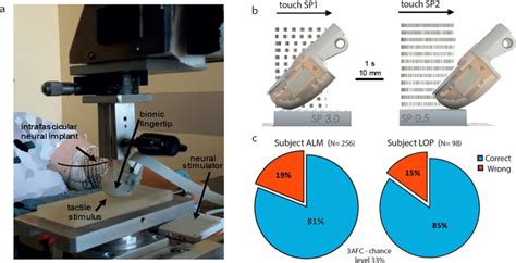 Neuromorphic Artificial Touch System Encoding Grating Stimuli With Download Scientific Diagram