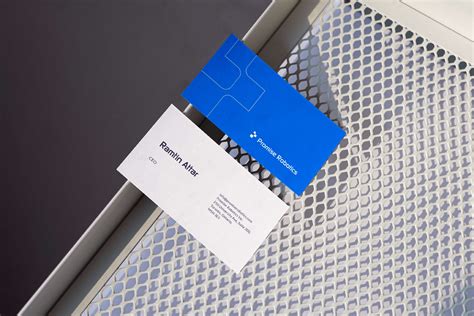 Oddbee Promise Robotics Oddbee