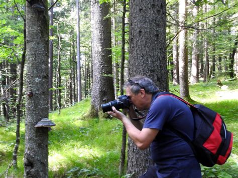Moj Zvesti Fotograf Borut Kraševec Kozarka