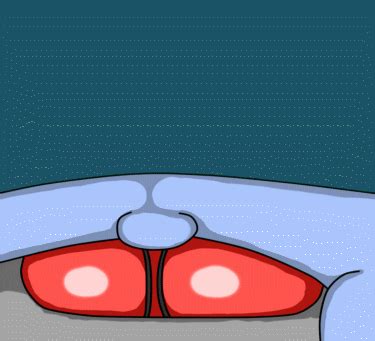 Post Animated Bob Hexadecimal Reboot VylfGor