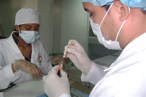 LABORATORIO CLÍNICO VETERINARIO PRACTICAS REALIZADAS EN EL LABORATORIO CLINICO UDCA POR LABORATORIO CLÍNICO VETERINARIO PRACTICAS REALIZADAS EN EL LABORATORIO CLINICO UDCA POR